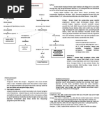 Pathway Febris | PDF