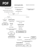 Pathway Hernia | PDF