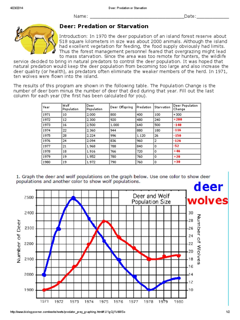 Deer - Predation or Starvation Key | PDF | Predation | Deer