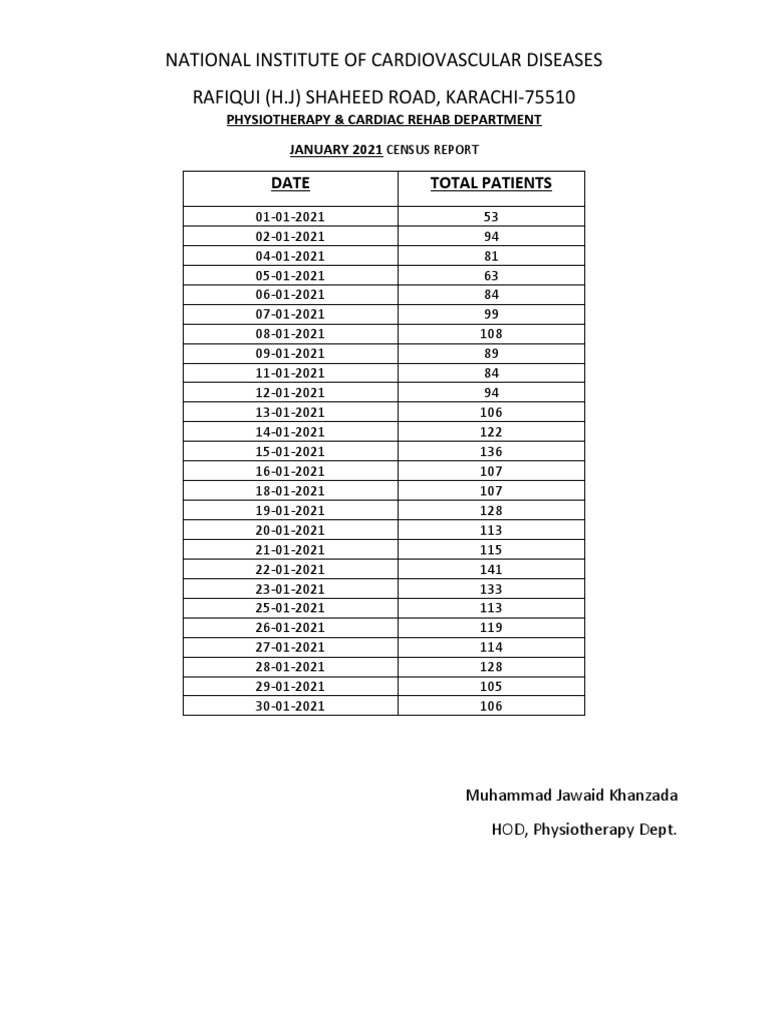 Monthly Census Report | PDF