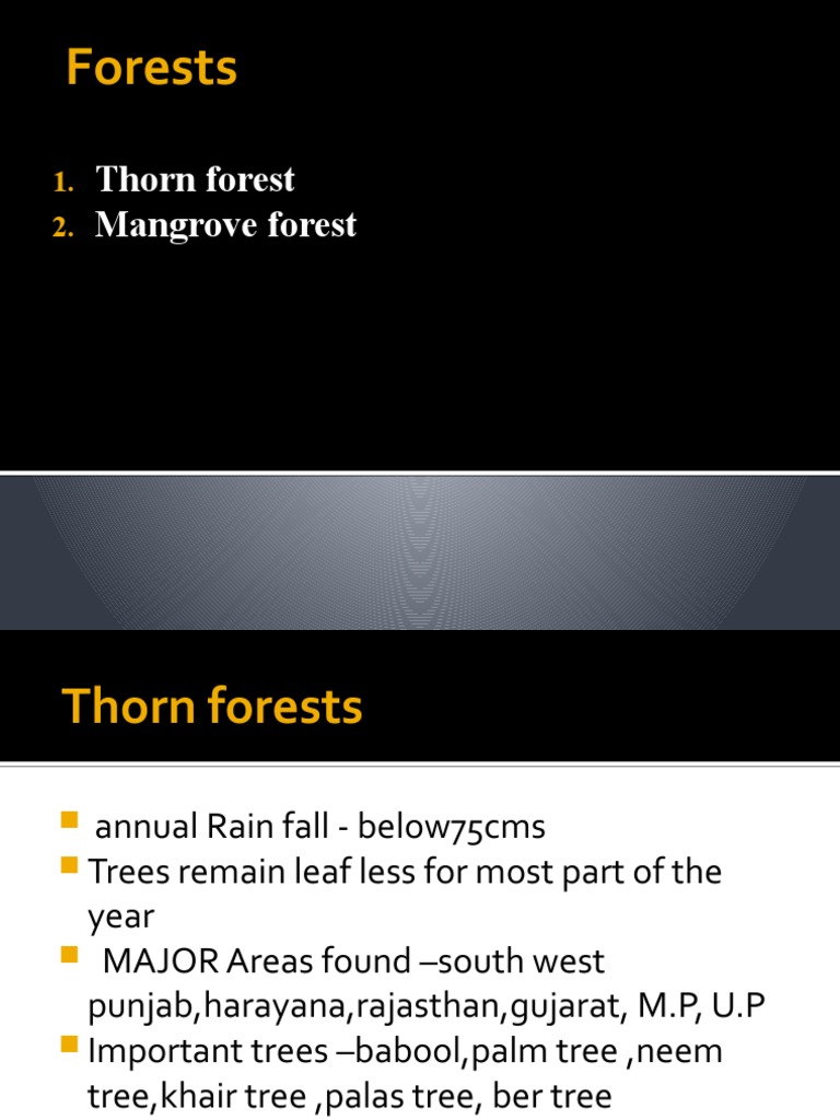 Presentation - Forests - Mangrove and Thorn Forest | PDF