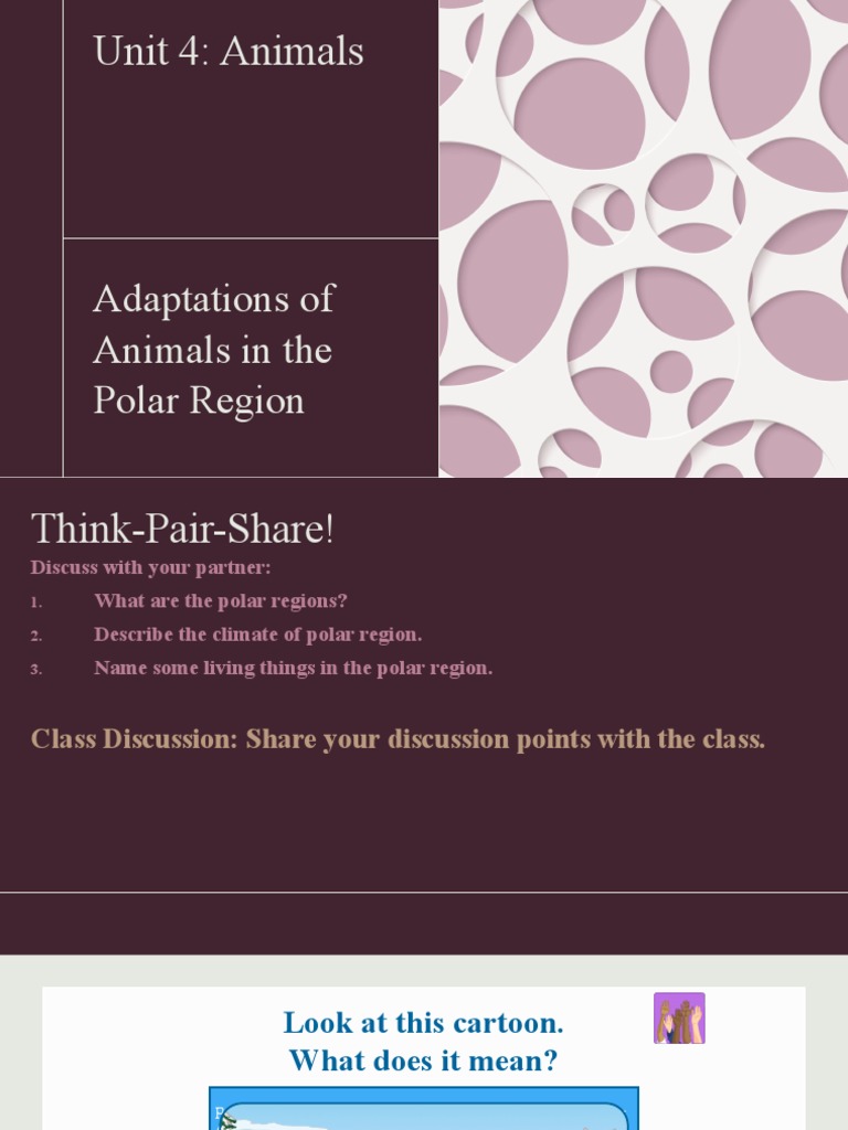 Unit 4: Animals: Adaptations of Animals in The Polar Region | PDF ...