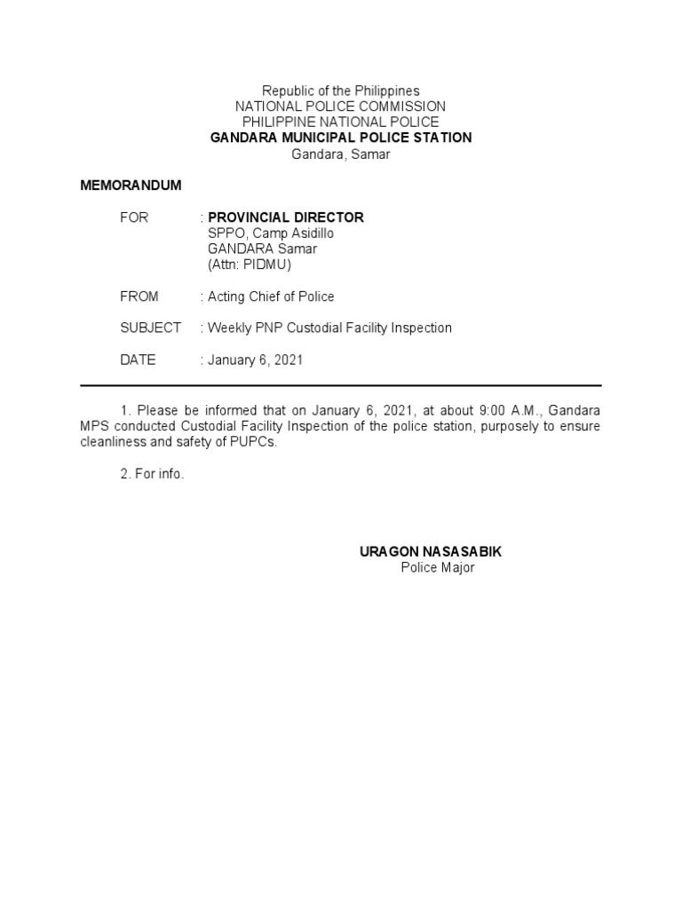 Custodial Facility Inspection | PDF