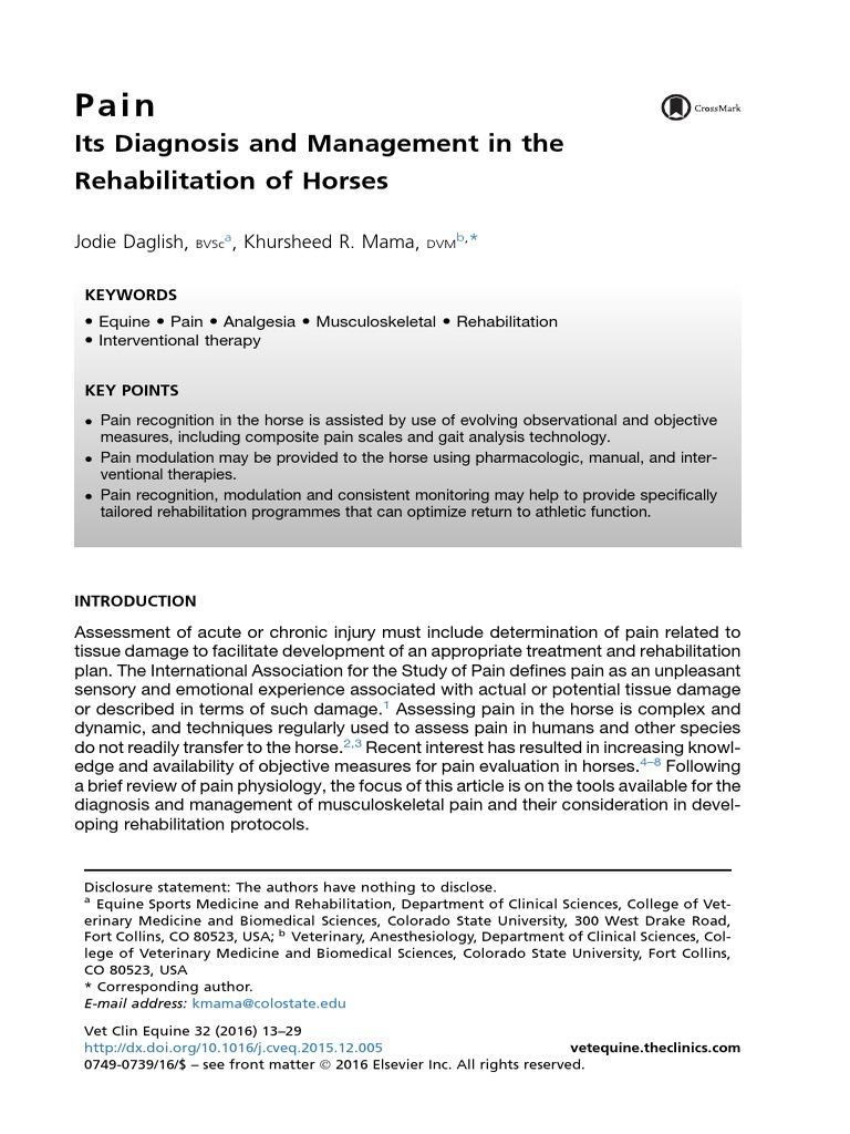 Equine Pain Diagnosis and Management | PDF | Nonsteroidal Anti ...