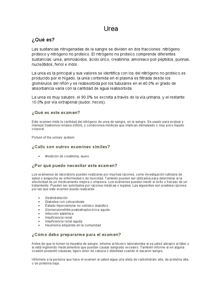 Urea y ácido úrico: Exámenes y diagnóstico | PDF | Gota ...