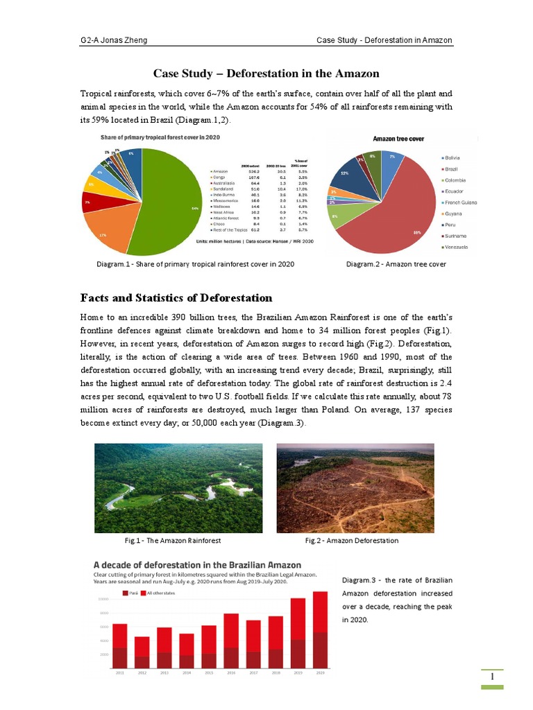 Case Study - Deforestation in Amazon | PDF | Deforestation | Amazon ...