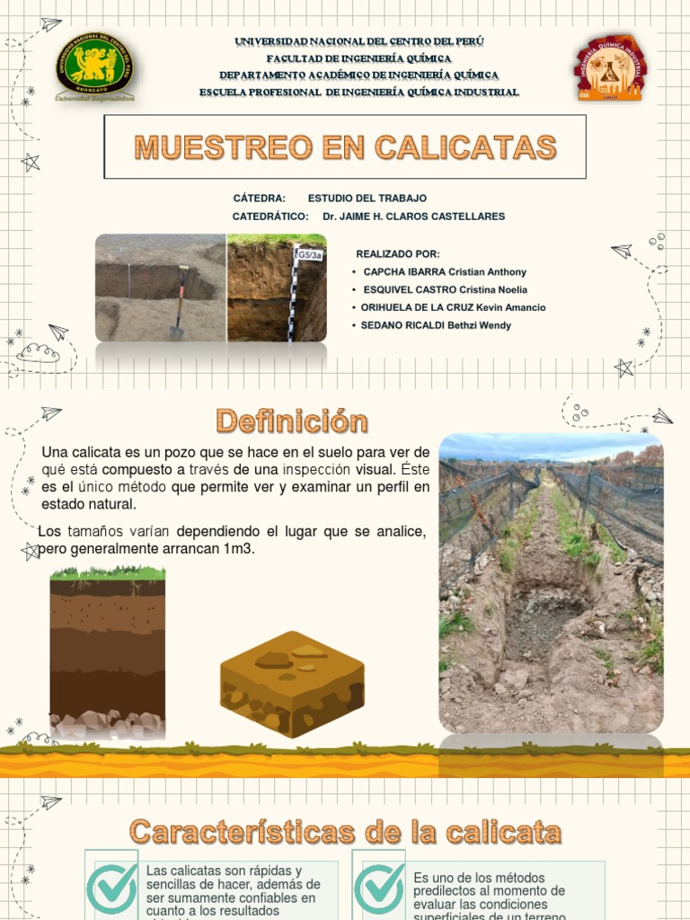 Muestreo de Suelos en Calicatas | PDF | Suelo | Agua subterránea