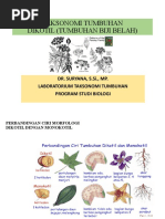 Skema Pembuahan Ganda Pada Angiospermae Dan Proses Terjadinya | PDF