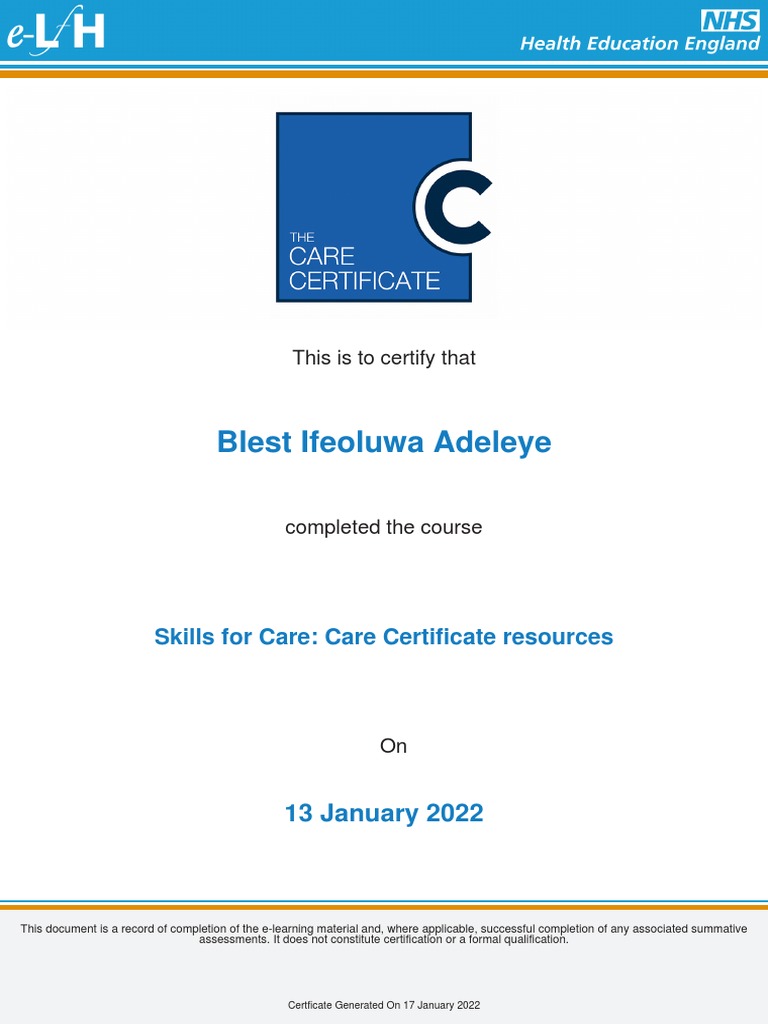 Skills For Care Care Certificate Resources | PDF