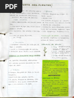 Cocori Libro Completo | PDF