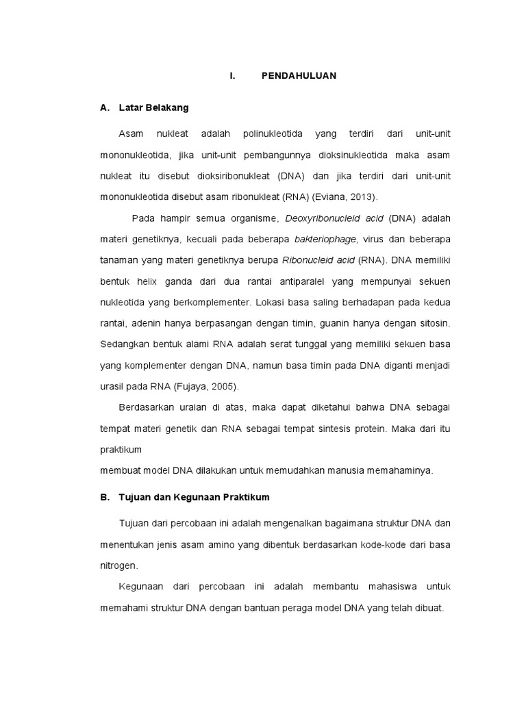 Model DNA dan Sintesis Protein | PDF