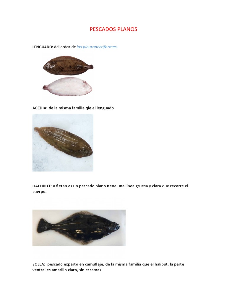Tipos de Pescados Planos Comestibles | PDF
