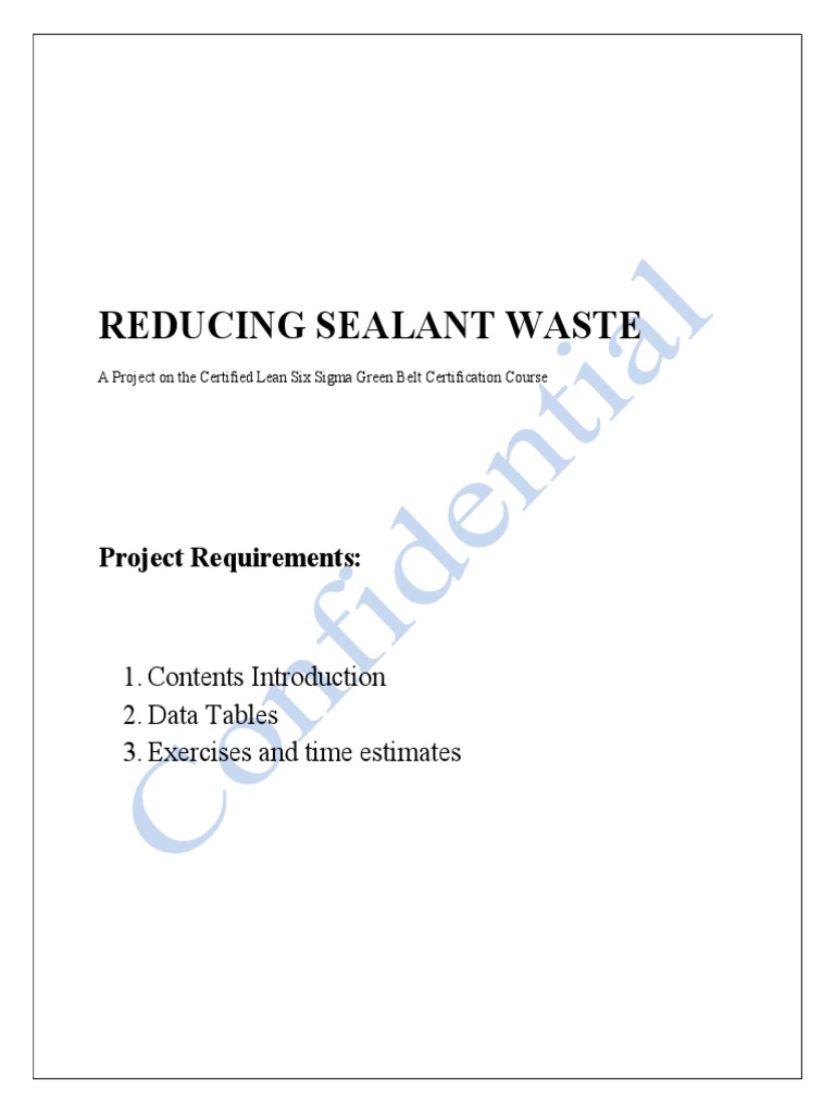 Lean Manufacturing Project | PDF | Six Sigma | Business