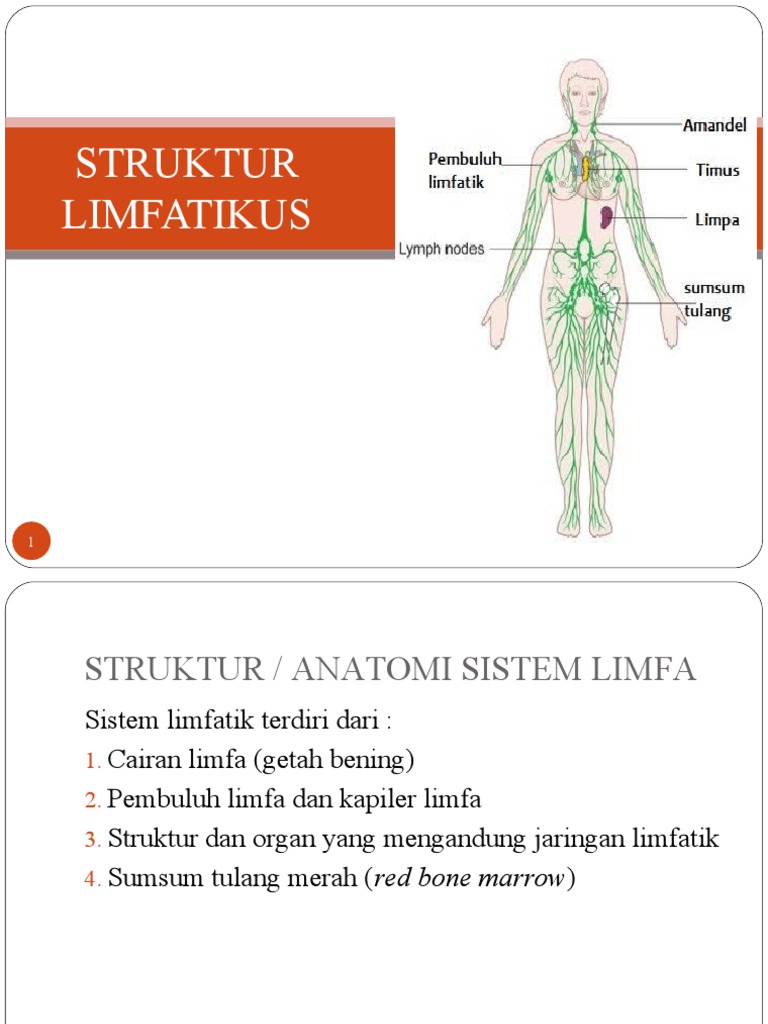 SISTEM LIMFA Presentasion | PDF | Sains & Matematika