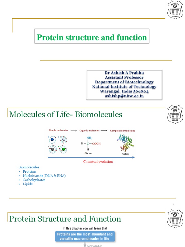 Protein Structure and Function | PDF | Protein Folding | Amino Acid