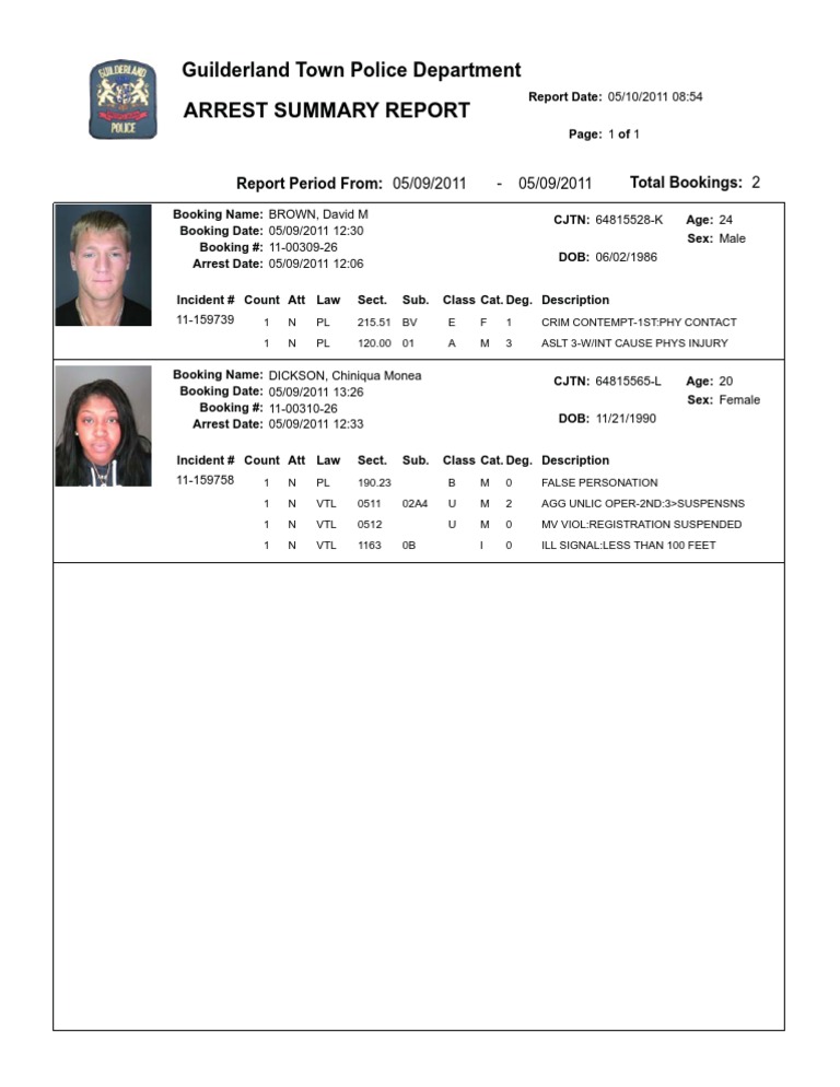 Arrest Summary Report: Guilderland Town Police Department | PDF | Law