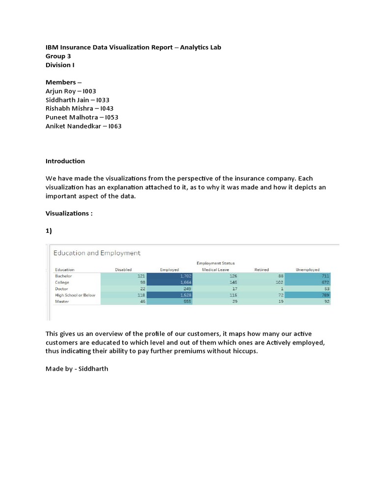 IBM Insurance Data Visualization Report - Analytics Lab Group 3 ...