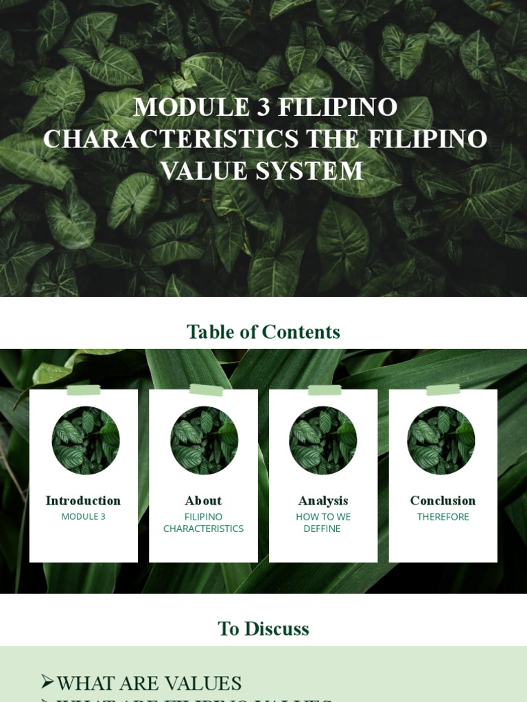 Understanding Filipino Values and Culture | PDF | Family | Value (Ethics)