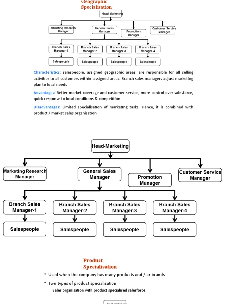 Sales Force Structure | PDF | Sales | Marketing