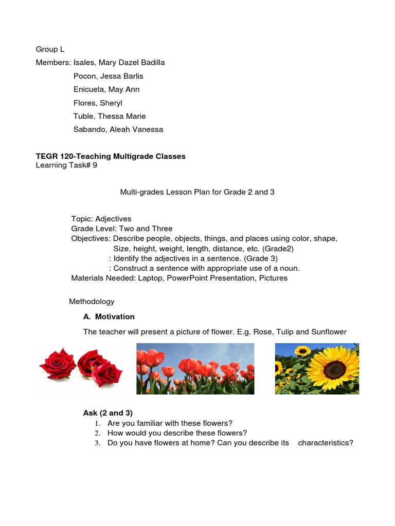 Multigrade Lesson Plan (Group L) | PDF | Noun | Adjective