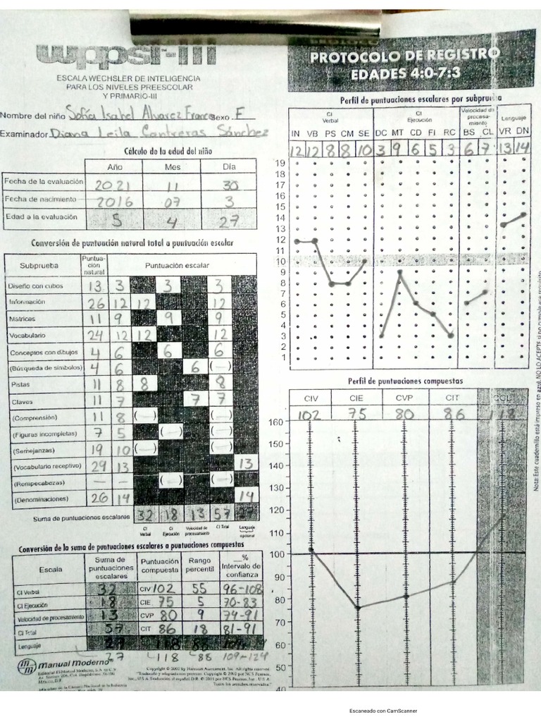 Protocolo de Registro WPPSI-III | PDF