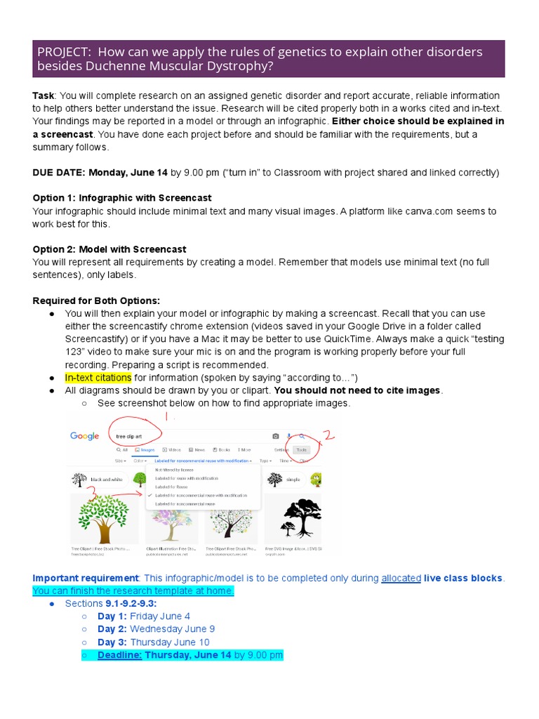NNNMM | PDF | Gene | Genetics