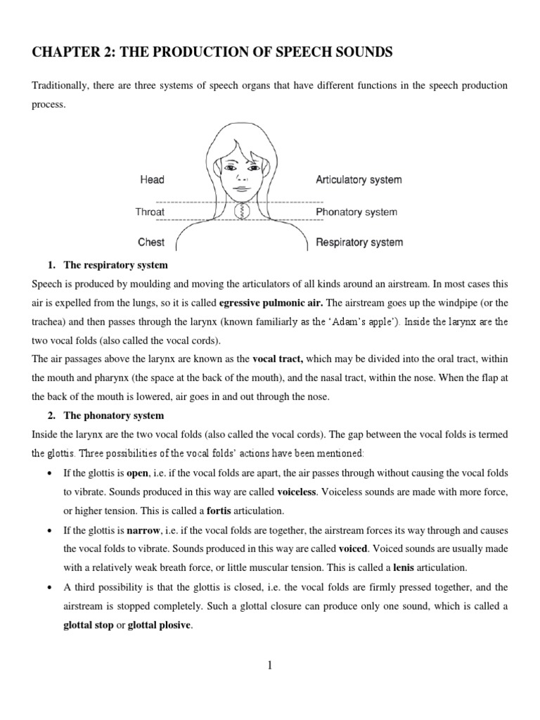 06 - CHAPTER 2 - The Production of Speech Sounds | PDF | Human ...