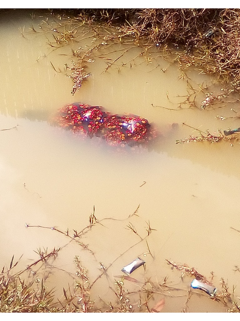 Img 20220118 135154 | PDF