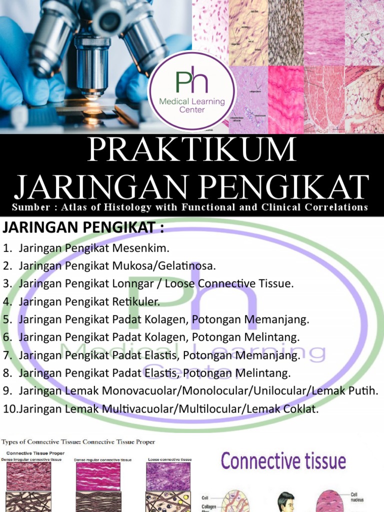 Histologi Dasar Praktikum Jaringan Pengikat | PDF