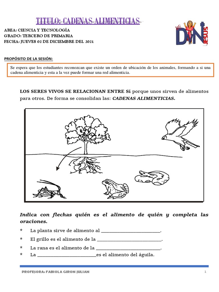 Cadenas Alimenticias | PDF | Alimentos | Ecosistema