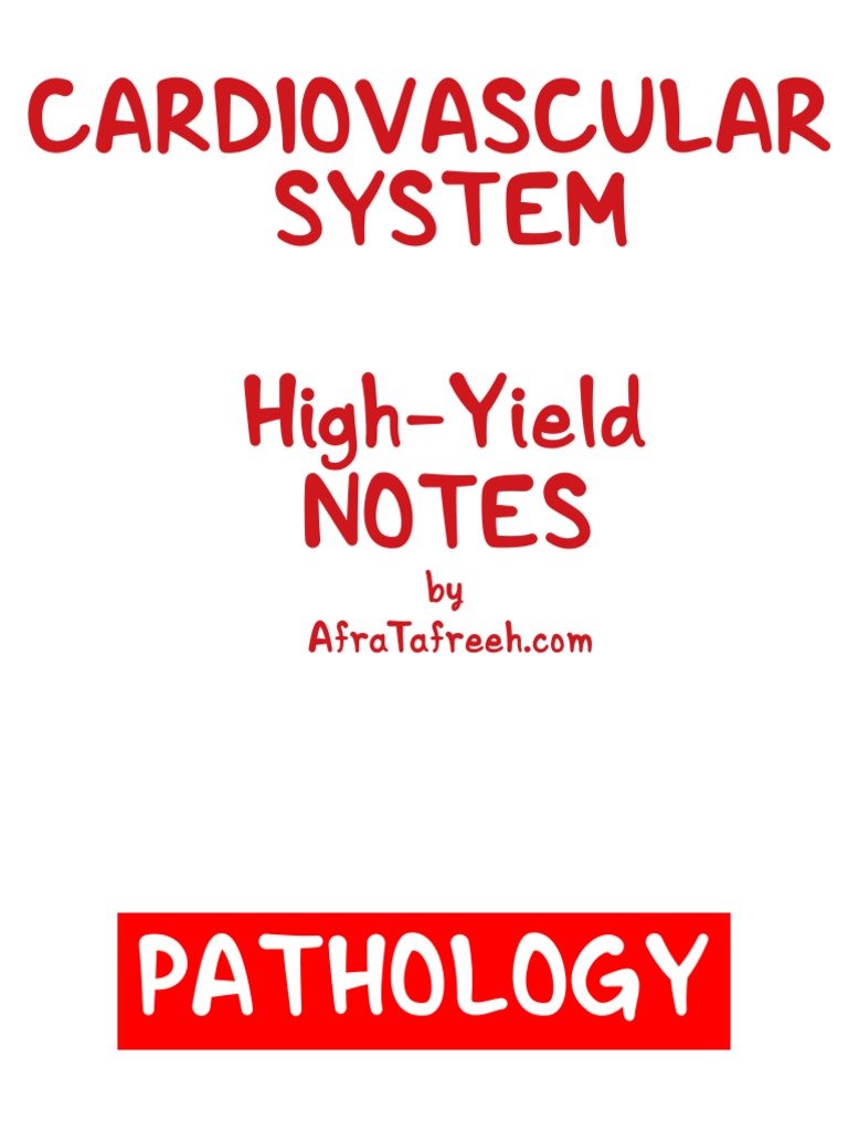 High-Yield Cardiovascular Pathology Notes | PDF | Myocardial Infarction ...