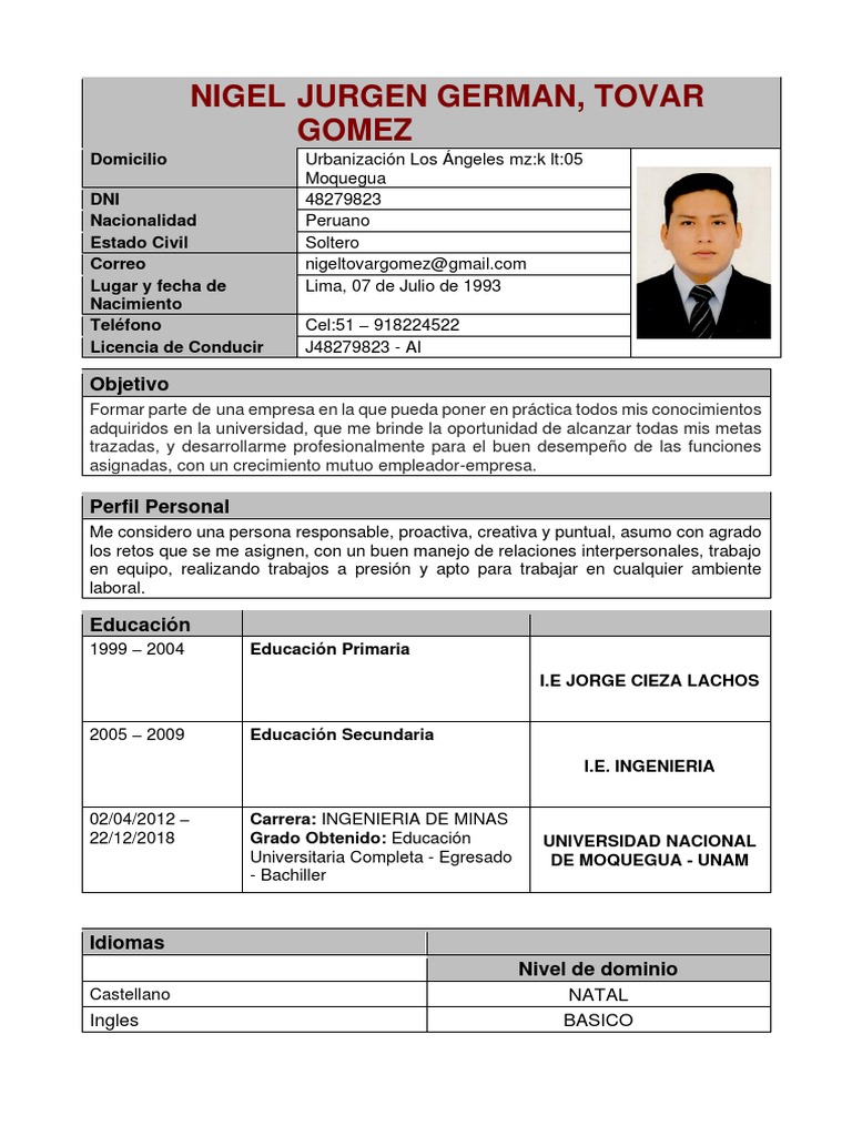 CV Nigel J.G. Tovar Gomez | PDF