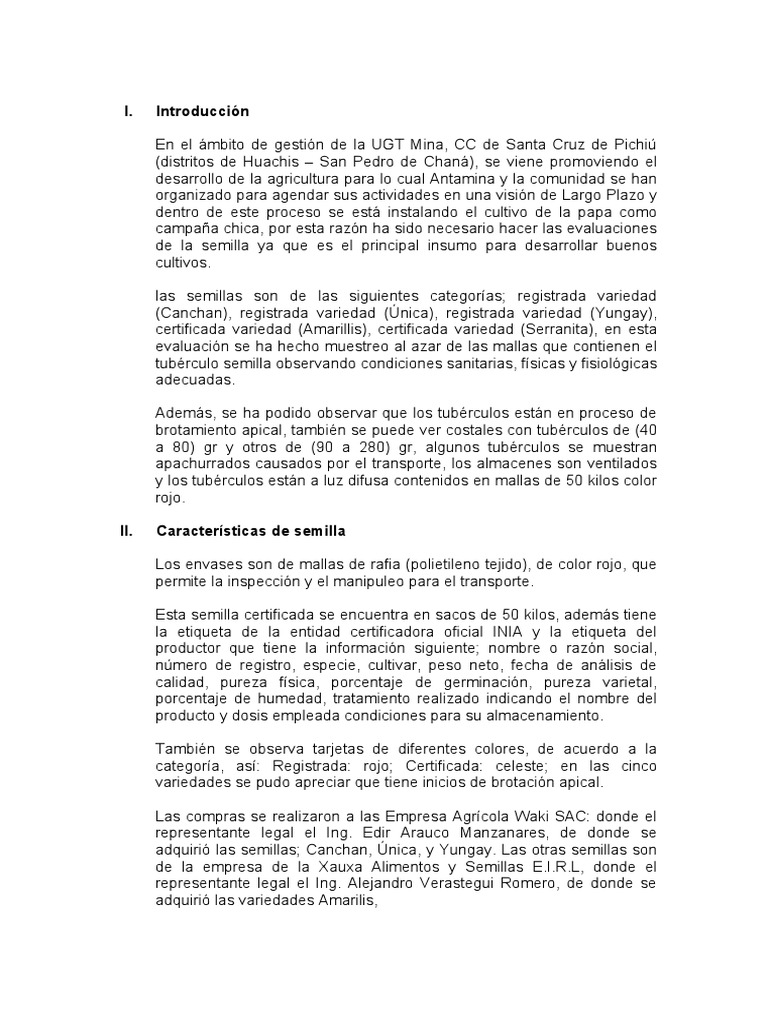 Informe De Semillas De Papa Pdf Patata Fertilizante