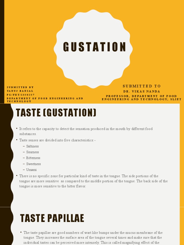 Gustation | Download Free PDF | Taste | Stimulus (Physiology)