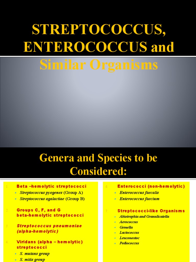 Streptococcus and Enterococcus | PDF | Streptococcus | Microbiology
