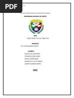 Modelo DJ-05: Declaración Jurada ONAT | PDF | Herencia | Impuestos