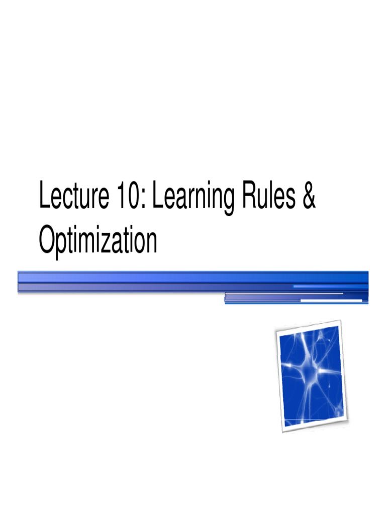 Widrow New | PDF | Synaptic Plasticity | Synapse