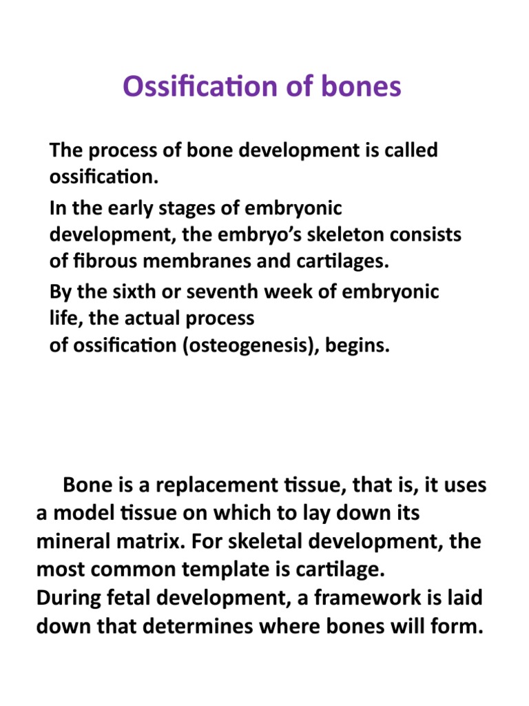 Bones Ossification. | PDF | Bone | Osteoblast