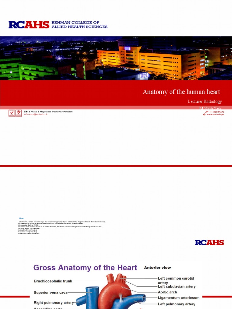 Anatomy of The Human Heart. | PDF | Heart Valve | Atrium (Heart)