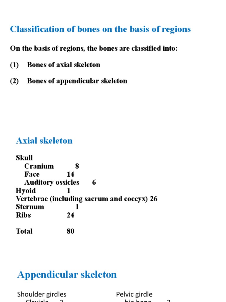 Classification of Bones. | PDF | Bone | Skeleton
