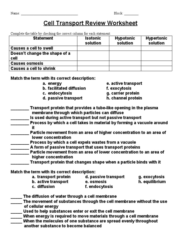 Cell Transport Worksheet g8 | PDF | Osmosis | Cell Membrane