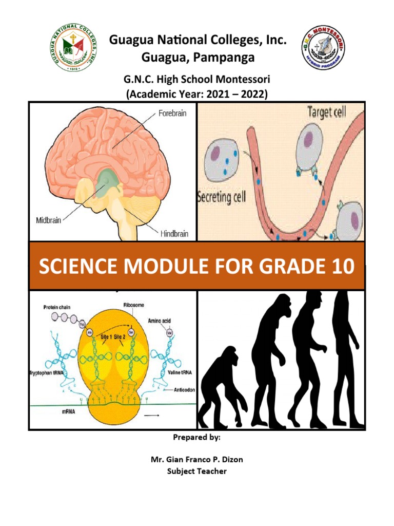 Science 10 Module 3 Final | PDF | Menstrual Cycle | Rna