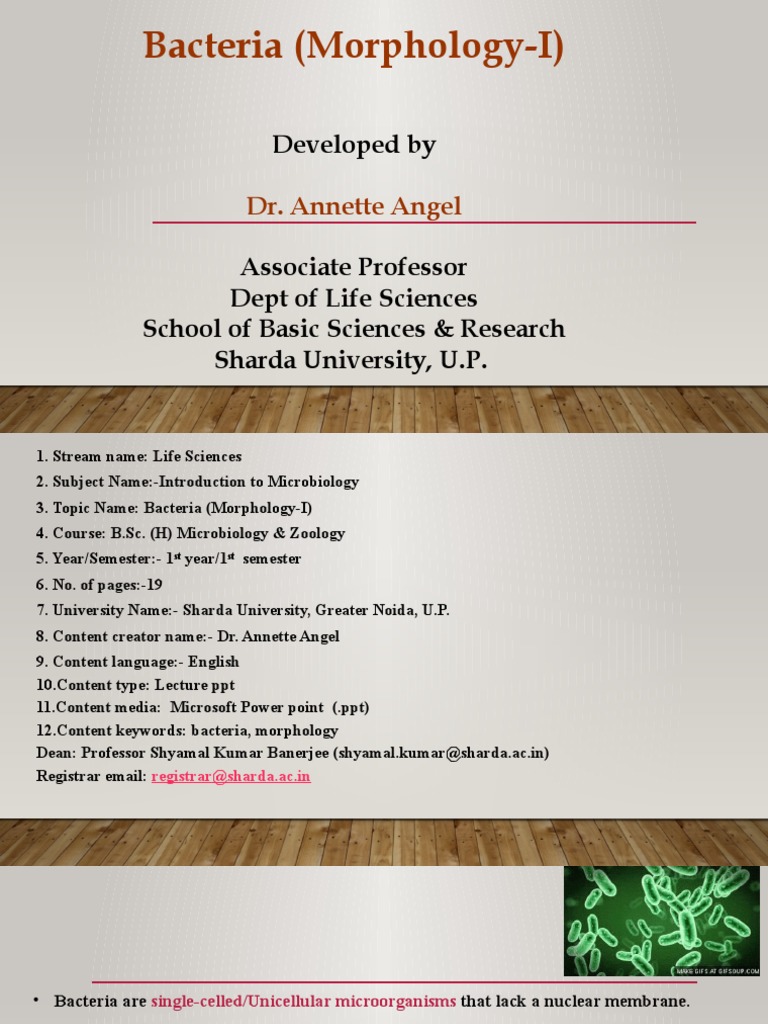 Bacteria Morphology I | PDF | Bacteria | Biology