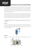 CEPT Case Study | PDF | Basement | Nature