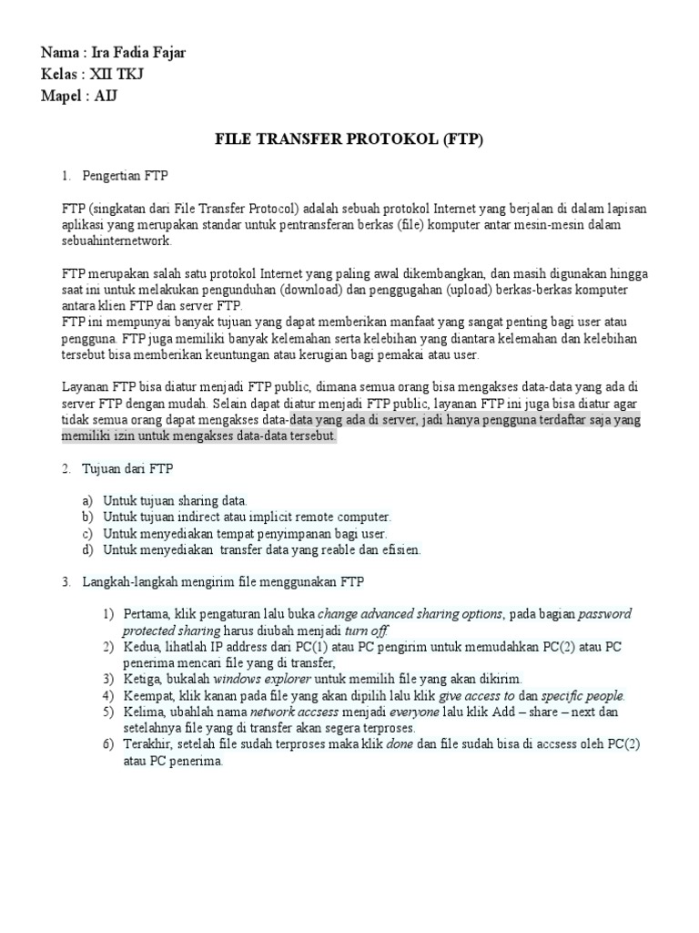 Laporan Mengenai Team Viewer Dan FTP | PDF