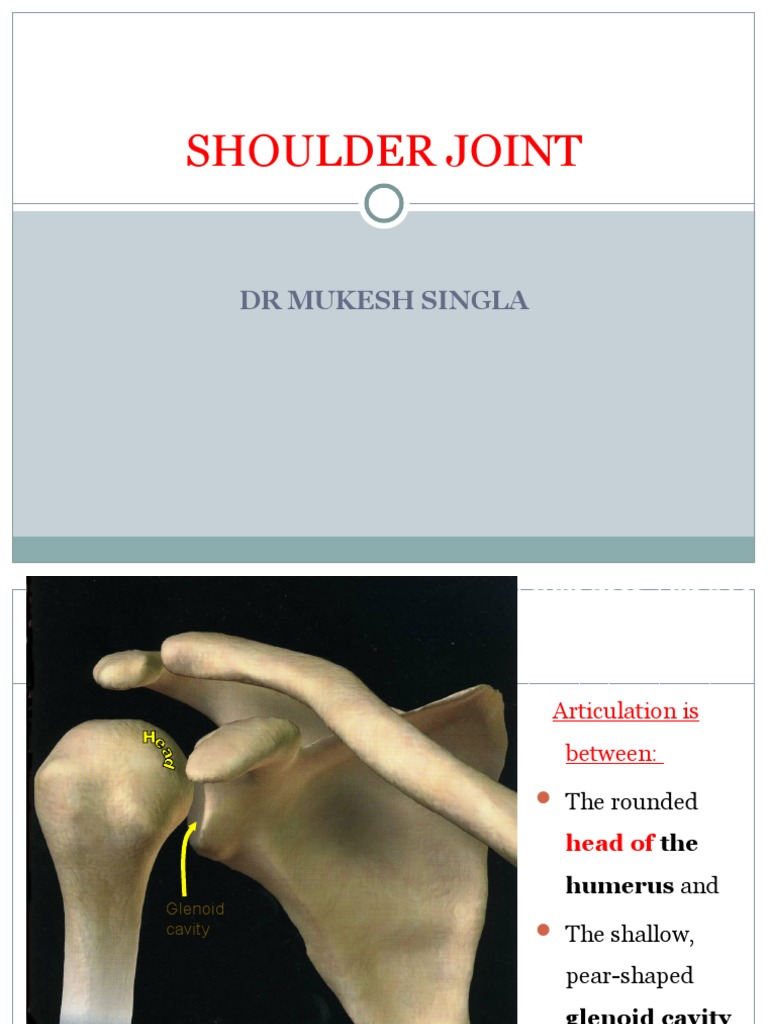811 Anatomy of Shoulder Joint | PDF | Shoulder | Anatomical Terms Of Motion