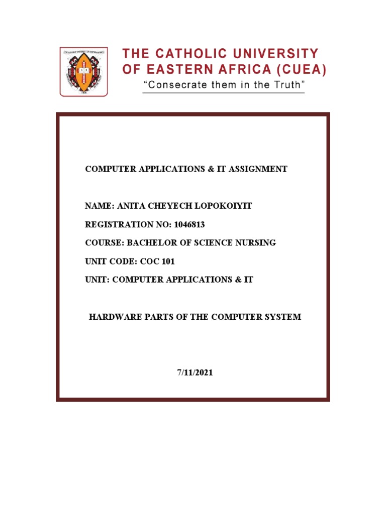 Ict Assignment | Download Free PDF | Computer Data Storage | Central ...