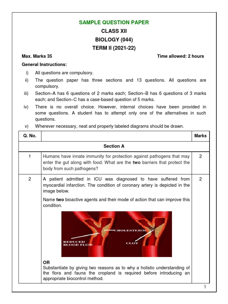 Bio Term 2 Sample Paper | PDF | Dna | Immune System