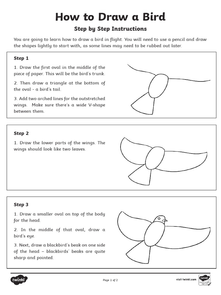 (478875) How To Draw A Bird | PDF