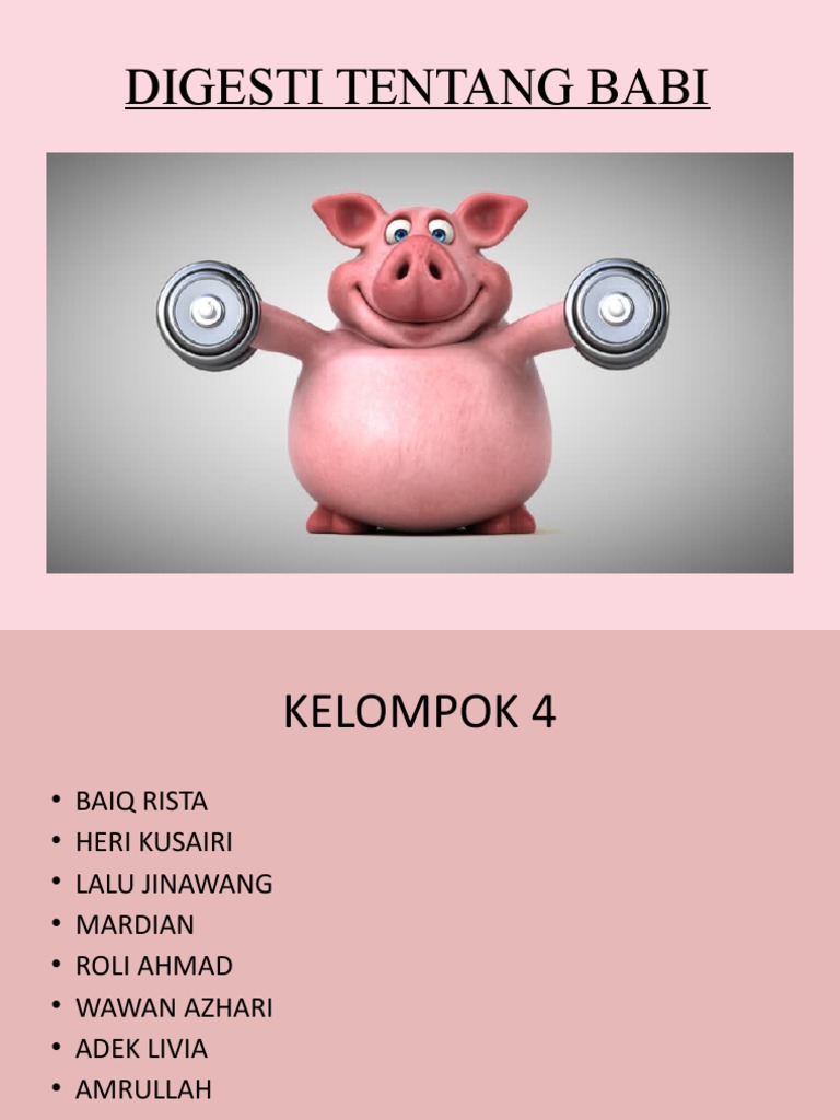 Anatomi Sistem Digesti Babi | PDF